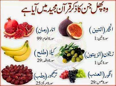 ISLAMIC: Names of Fruits Discuss in Quran