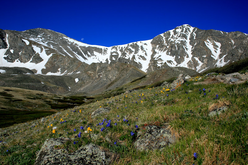 Face to the Sunshine: Grays and Torreys Peaks