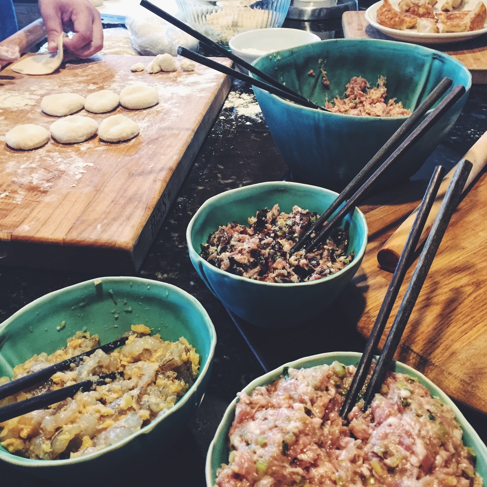 Dumpling Party | StephC