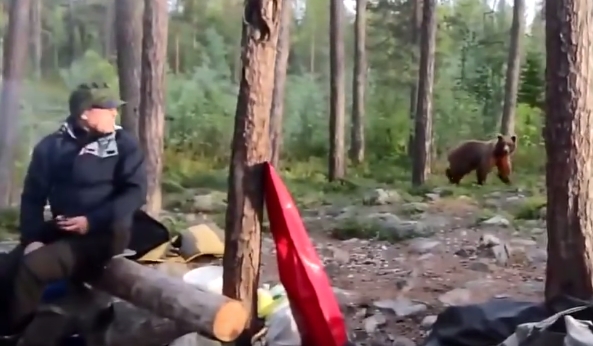 White Wolf : Campers Scare Off A Bear In The Nicest Possible Way
