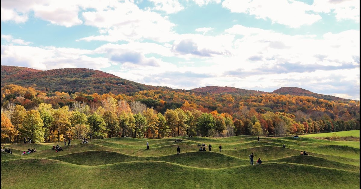 Curiosités et futilités à New York