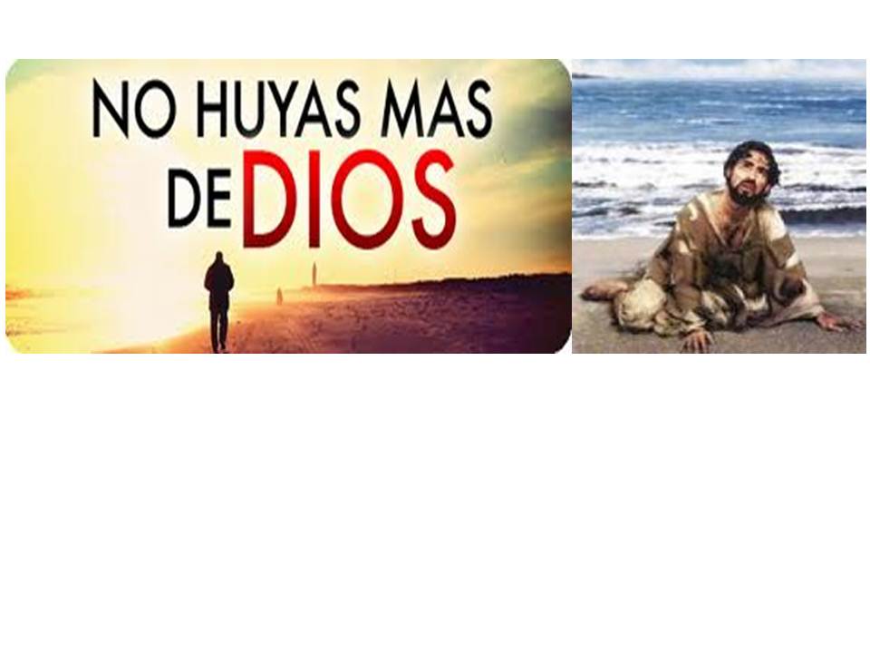 COMENTARIO BIBLICO DEVOCIONAL