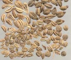 Blogging 4 Time pass: Omam in English