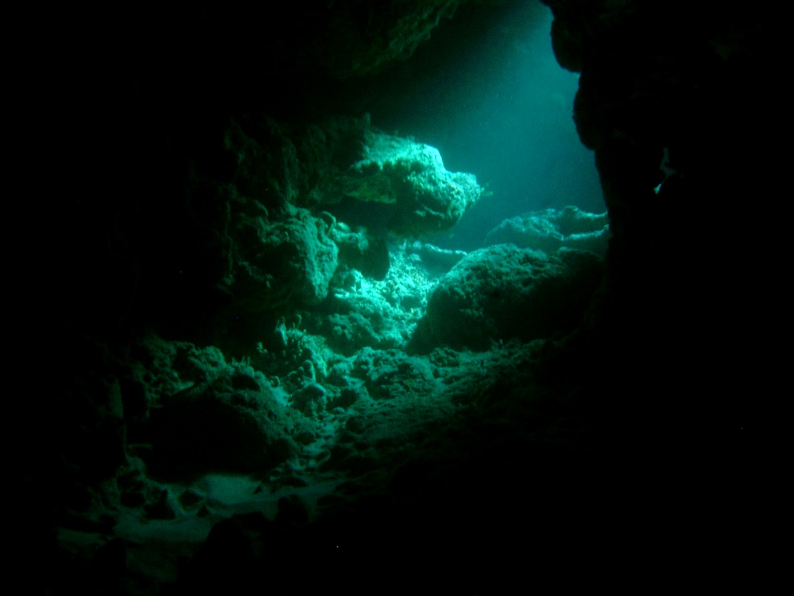 BillsDiving: Cave on Three Mile Reef