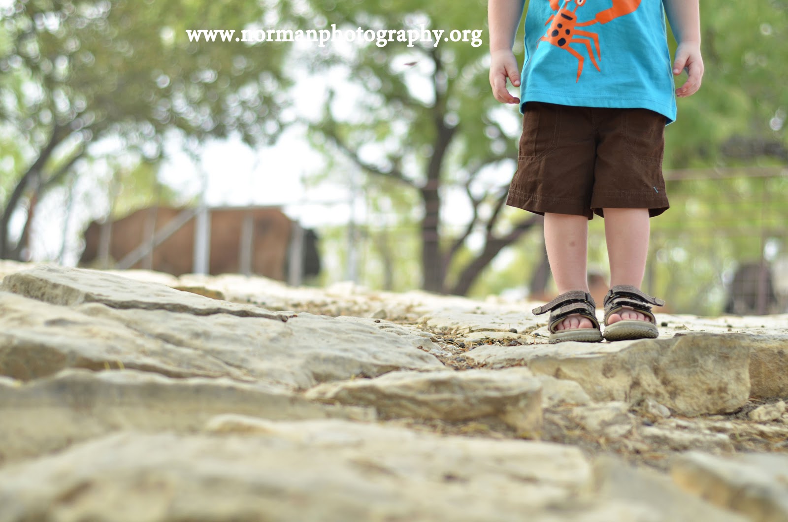 Norman Photography: Riley | Killeen Children's Photographer