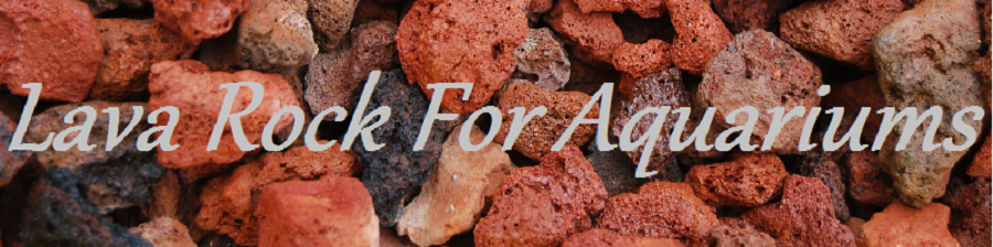 Lava Rock For Aquariums And Fish Tanks: Benefits Of Lava Rock For Aquariums