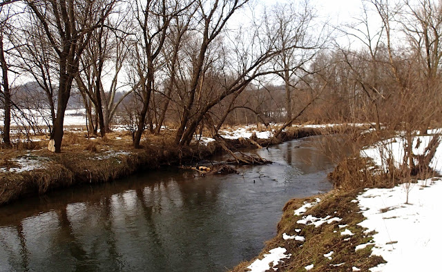 Wisconsin Driftless Report 2017 - Salmon & Trout - Salmon & Trout | In ...