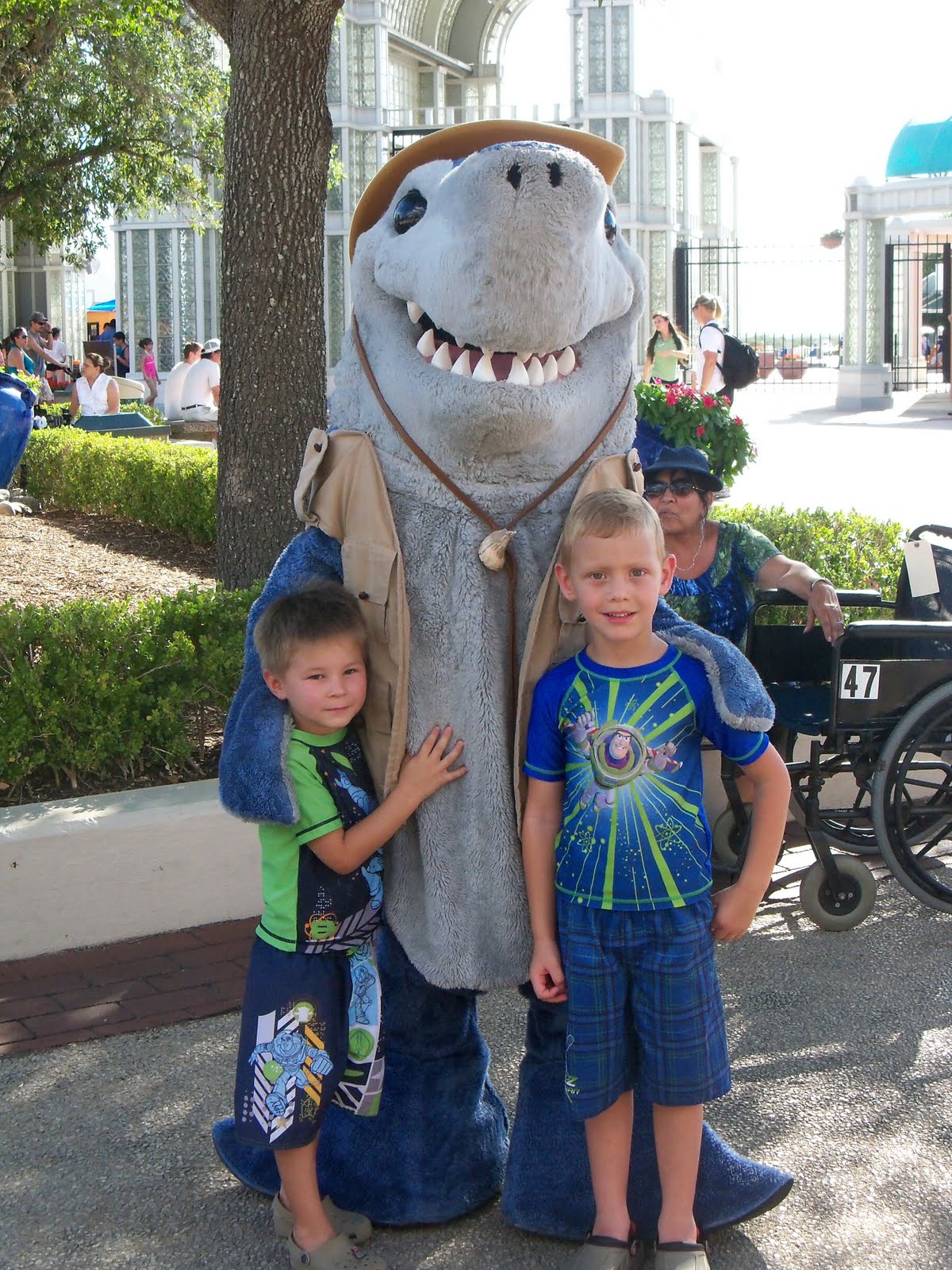 Life From A to Z: SeaWorld!