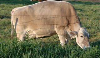 Somers Wisconsin Pioneer History: Beautiful Wisconsin