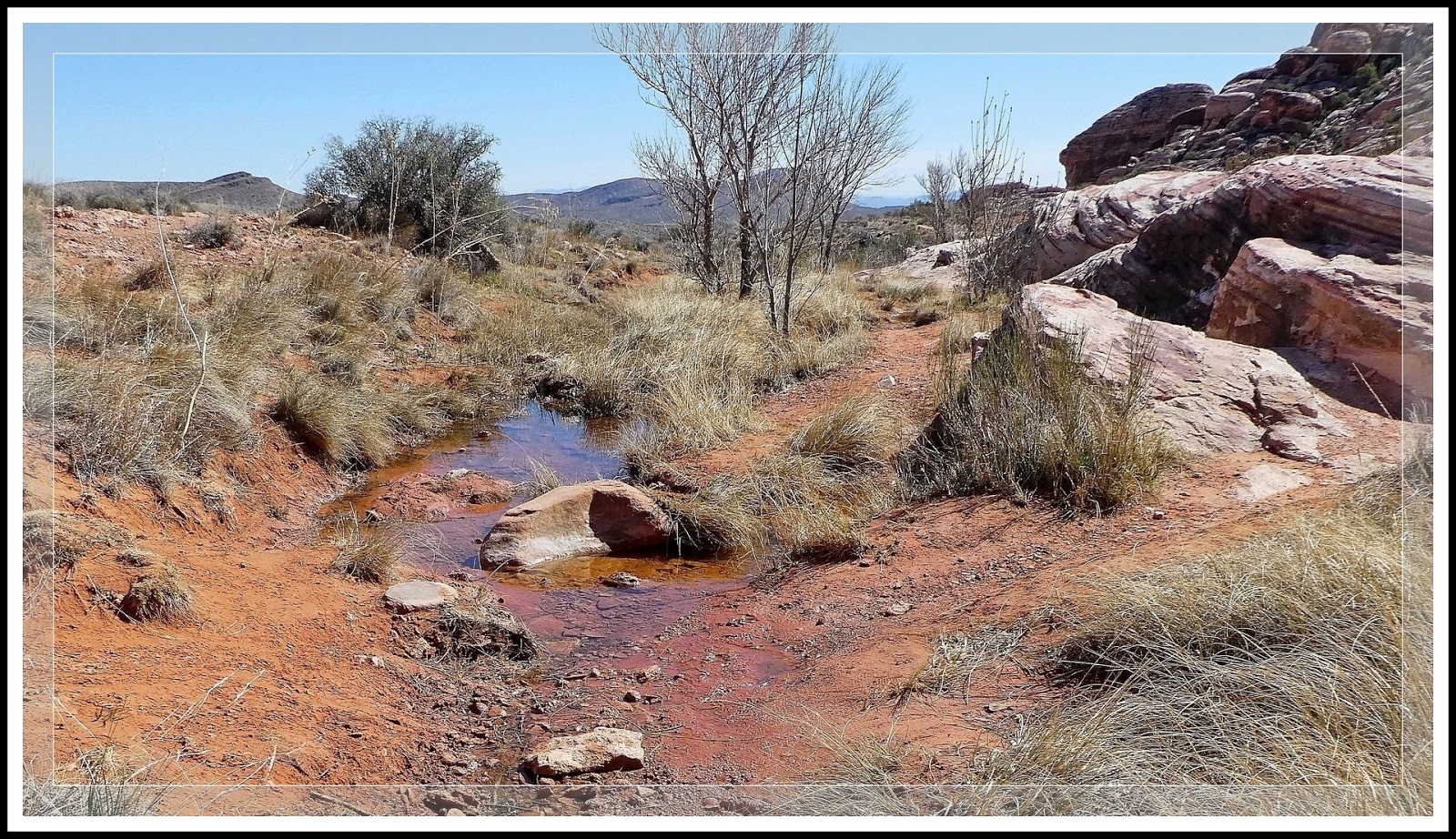 Ken's Photo Gallery: Calico Basin Springs Hike - 03/03/2017 Trip Notes