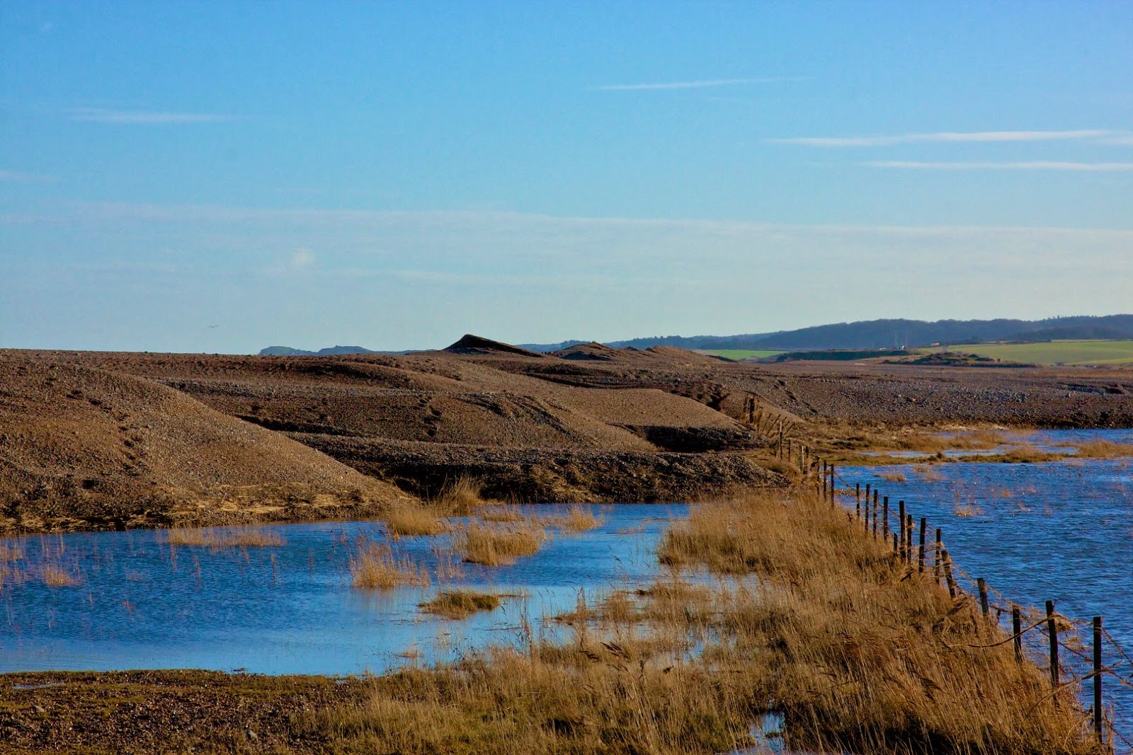 Norfolk Wildlife Trust: Cley Marshes: January 2014