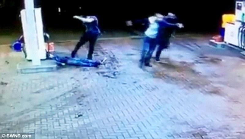 AΝΕΞΑΡΤΗΤΟΣ-ΔΙΠΛΩΜΑΤΙΚΟΣ ΠΑΡΑΤΗΡΗΤΗΣ: ΑΓΡΙΟ ΞΥΛΟ ΜΕ ΤΣΕΚΟΥΡΙΑ ΚΑΙ ...