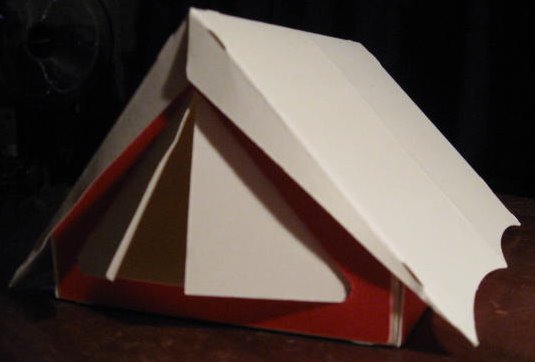 JACQUI J: 3d tents - camping critters cricut