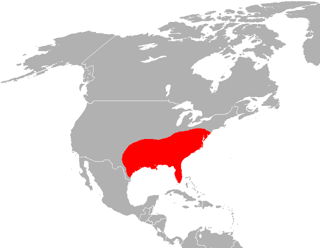 Abe's Animals: Historical red wolf range map