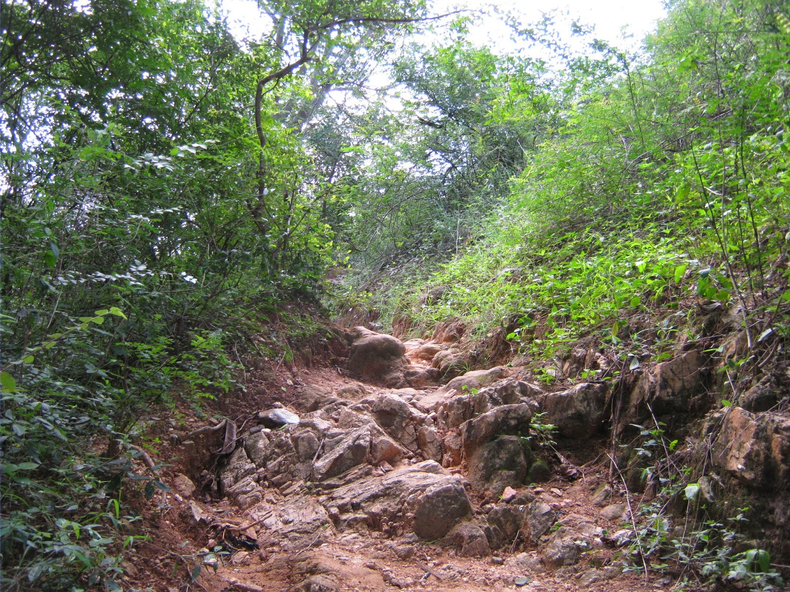 MuthyalaMaduvu , Pearl Valley , Anekal , near Bengaluru