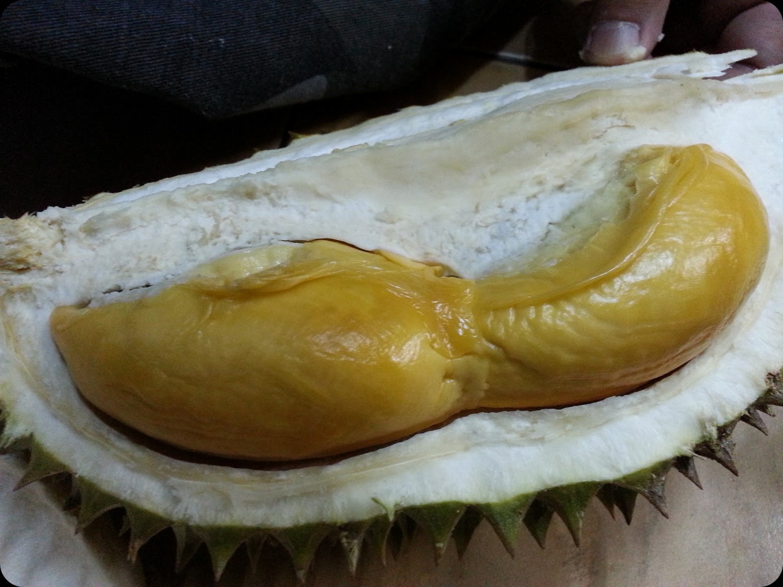 MY ALL: durian udang merah & durian tembaga