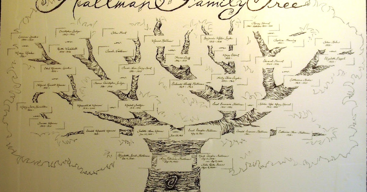 AnceStory Archives: Is Your Family Tree Accurate?