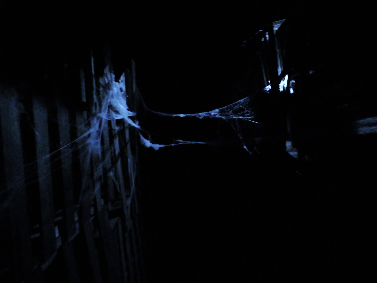 Something wicKED this way comes....: Backwoods Haunted House catches ...