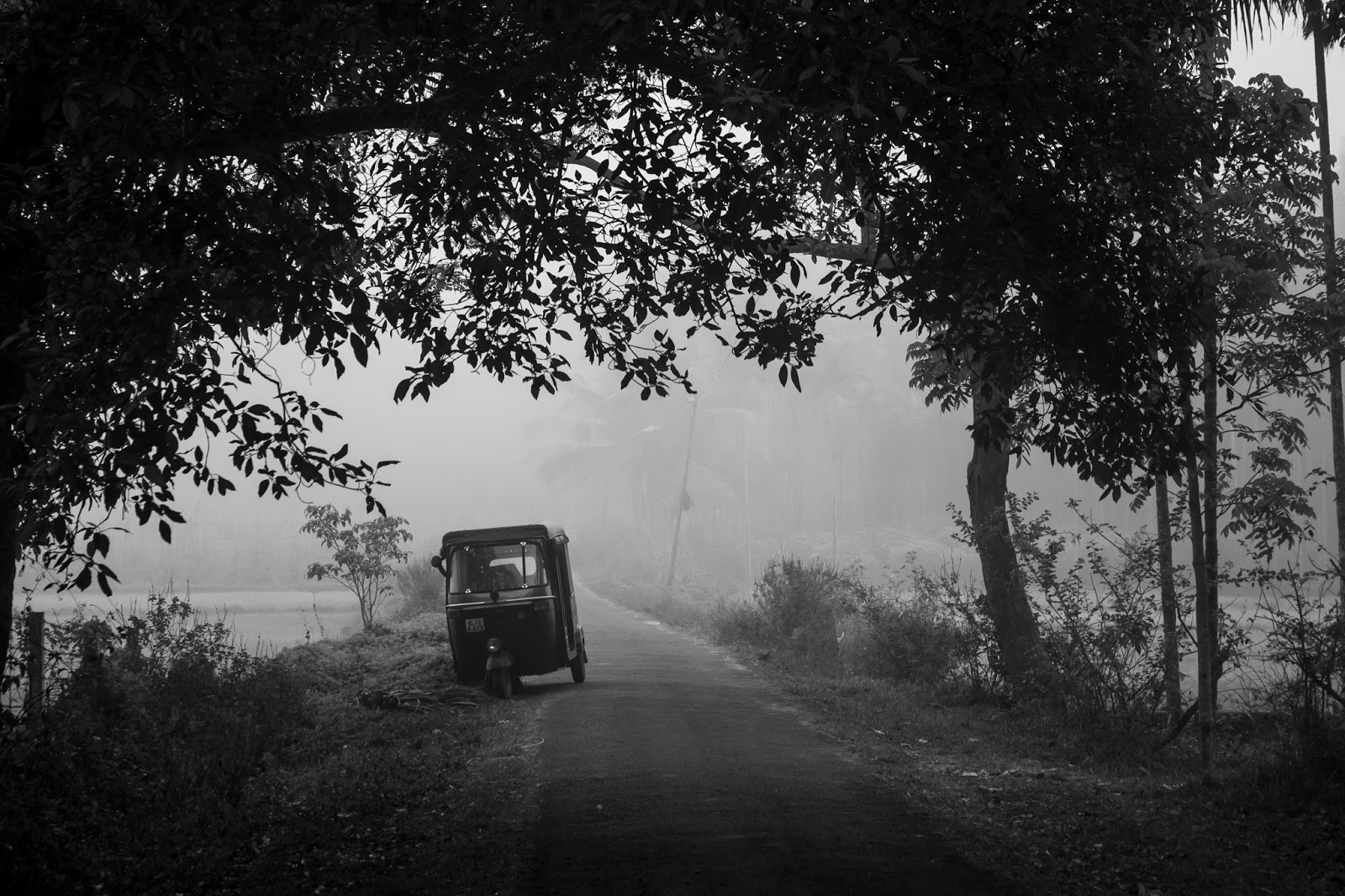 The map hopper: Postcards from Kerala : A foggy morning in Mananthavady ...