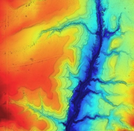 The Field Lab: elevation...