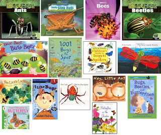 Brilliant Bundles: Preschool Bug Unit