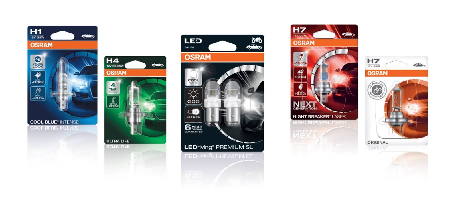 8 Best BMW E46 Headlight Bulbs [Xenon + Halogen]