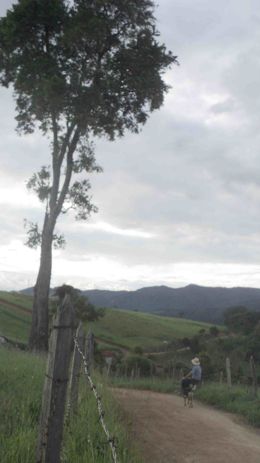 Prof. Émer Nogueira: MINHA SEXTA-FEIRA 13