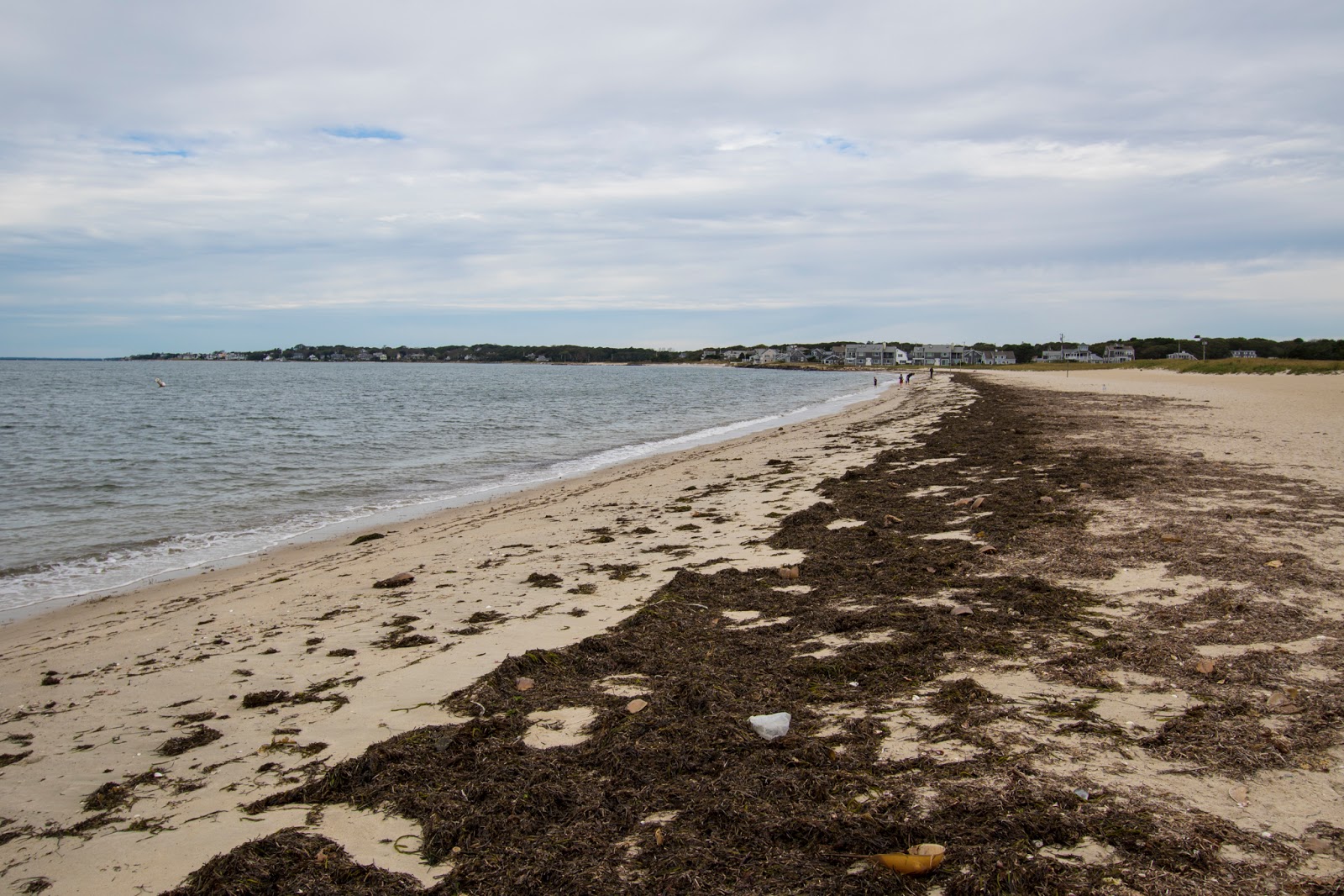 Fall foliage in New England on the road: nono giorno | Assaggi di Viaggio