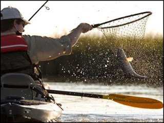 Mengenal Jenis-Jenis Teknik Dalam Memancing - Mancing Arena