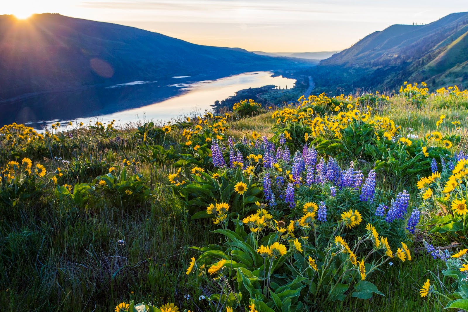 David VanKeuren's Photography: Rowena Crest Overlooking the Columbia ...