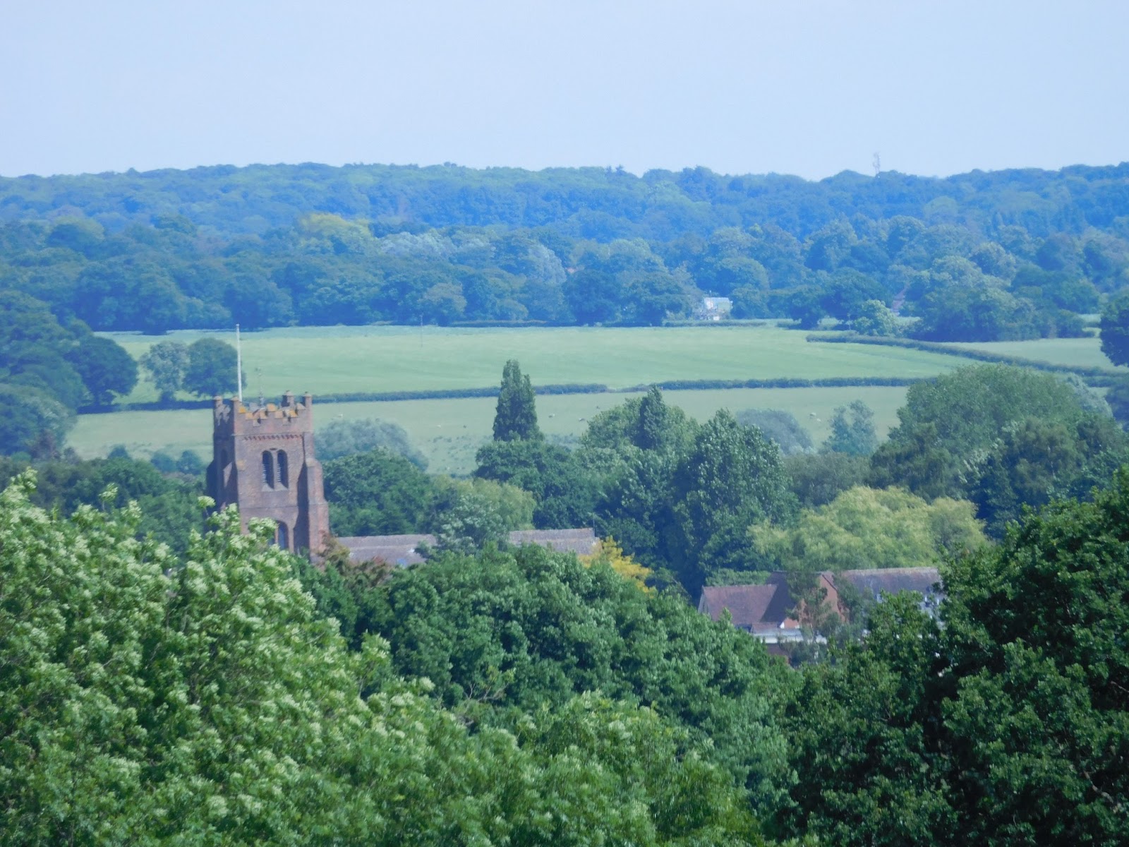 Blackmore Area Local History: Fryerning: Church Tower Ascent, 3 June 2017
