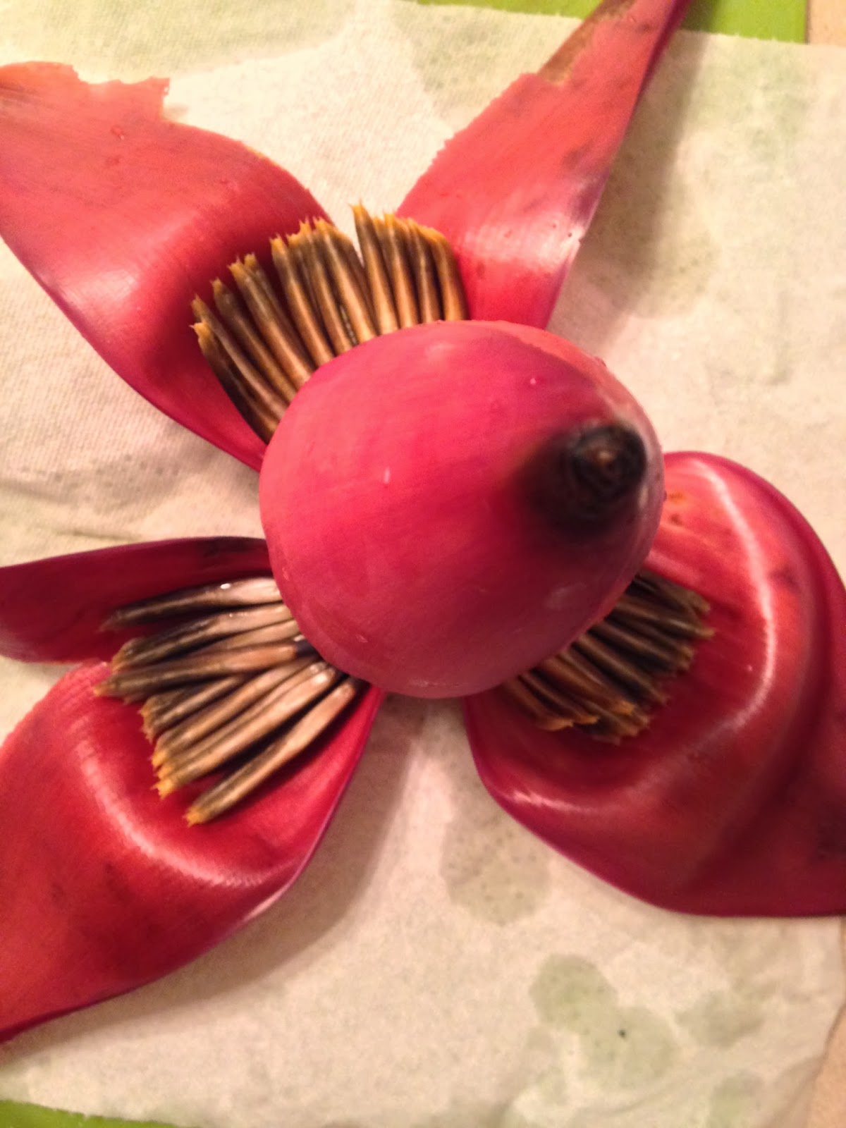 "Cooking Isn't Rocket science" : Vazha - Koombu , Cherupayar Thoran ...