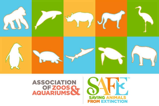 Axel Perez Blog: Sea Life Orlando obtiene la prestigiosa acreditacion ...