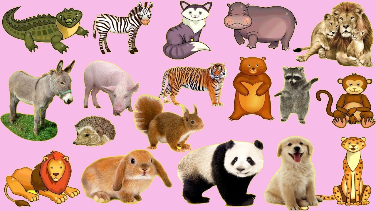 PERMATA CILIK: BAHASA MELAYU