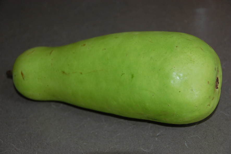 Jualan Benih Tanaman Semua Menjadi: Labu Air