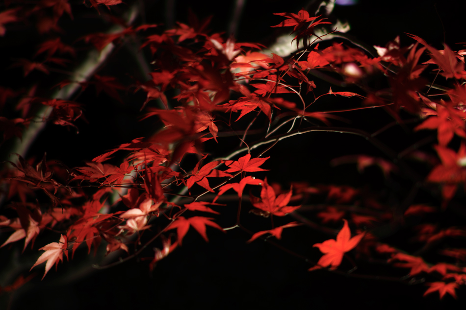 Something wicKED this way comes....: Dark Fall