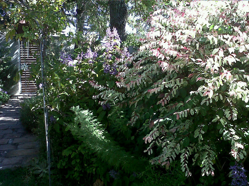 juststuff: some pictures to tell a story