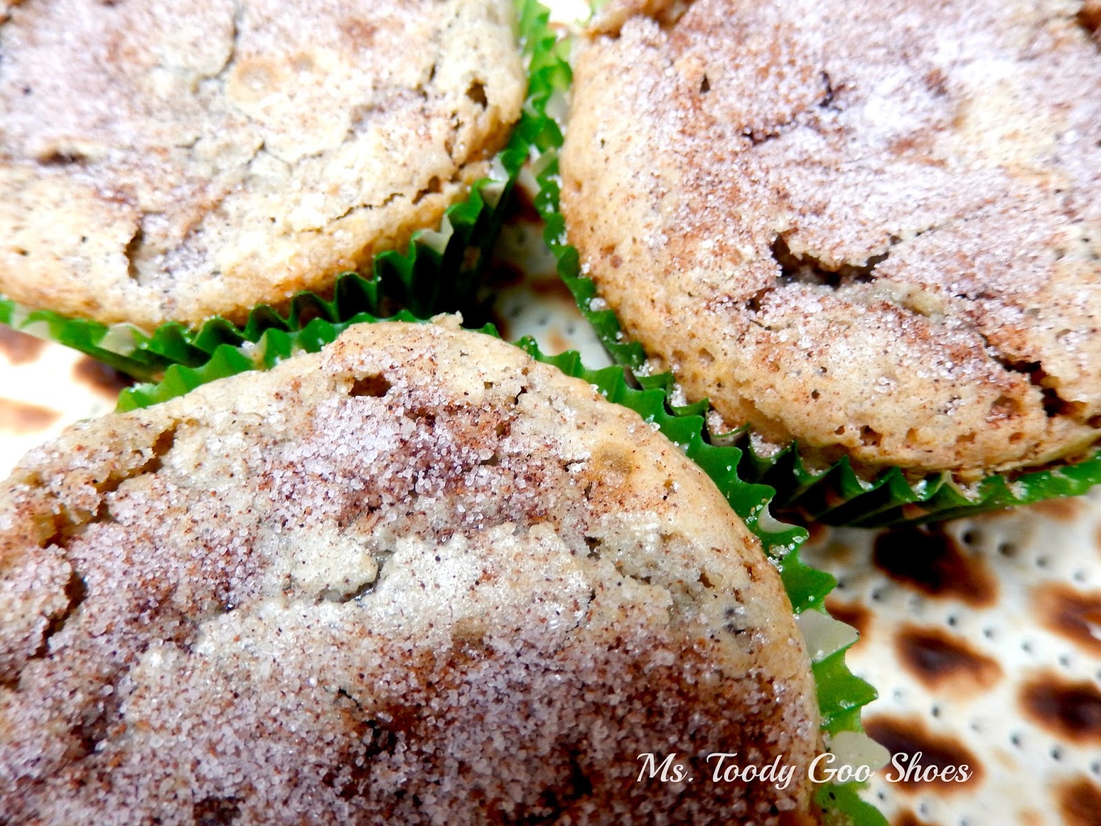 Ms. Toody Goo Shoes: Blueberry Muffins for Passover