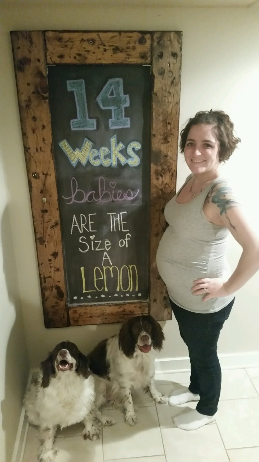 Carri Us Home: 14 Week Bump