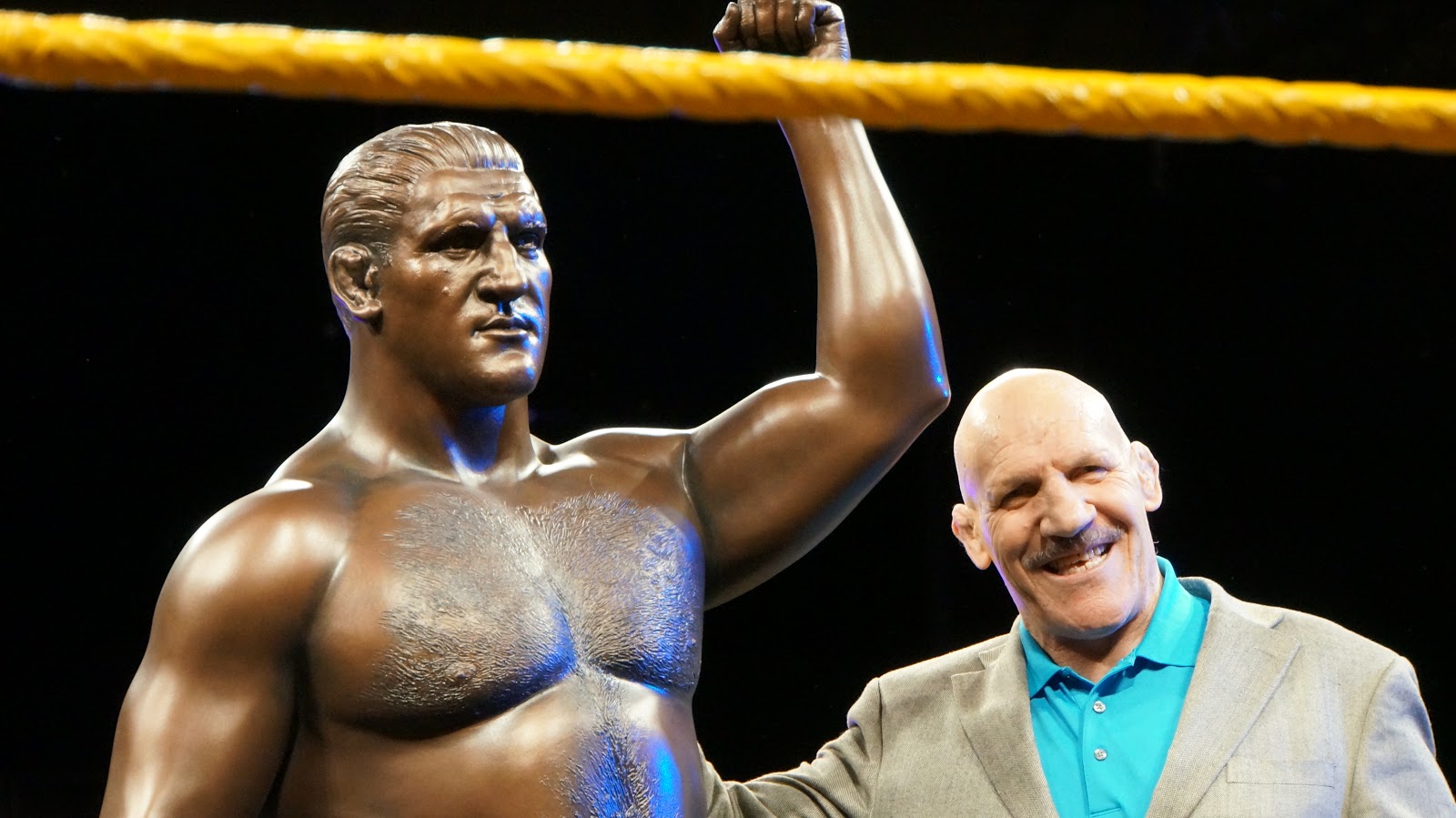 Wrestling Legend, WWE Hall of Famer Bruno Sammartino, Dies at 82 ...
