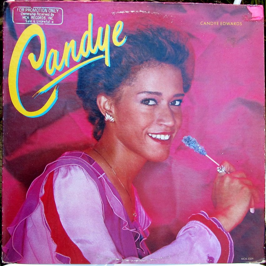 AUTOR, PISARZ, PUBLICYSTA do wynajęcia - - AUTHOR, WRITER, PUBLICIST ...