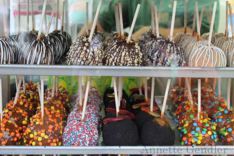 Photo Essay: At the County Fair - Annette Gendler