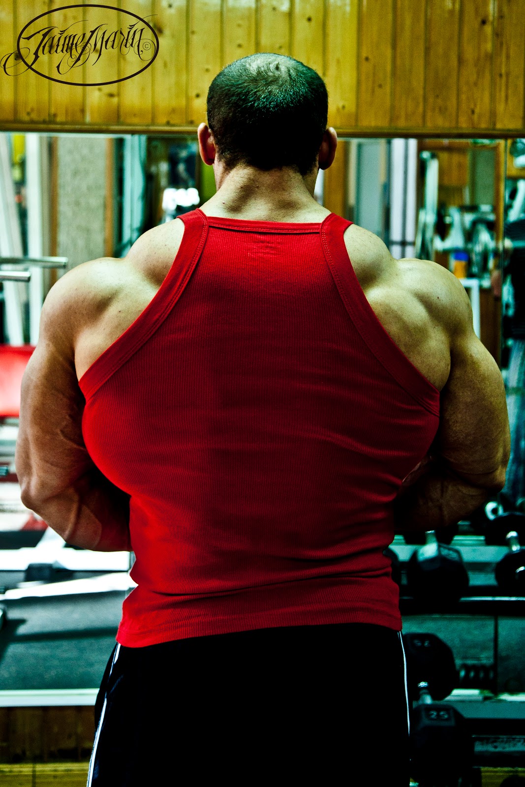 Muscle Lover: Alfonso Del Rio