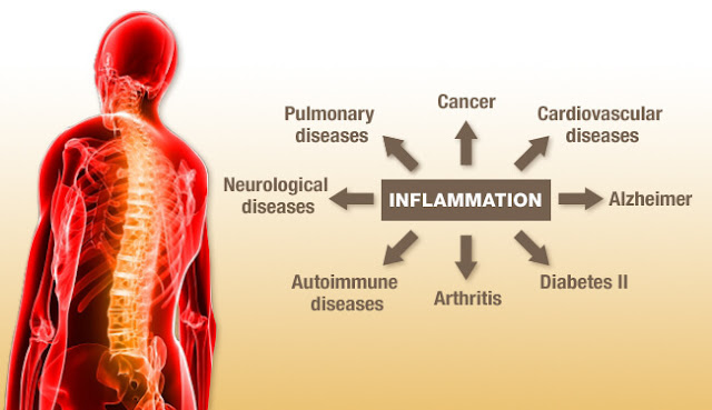 9 Effective Ways To Fight Inflammation and Maximize Weight Loss ...