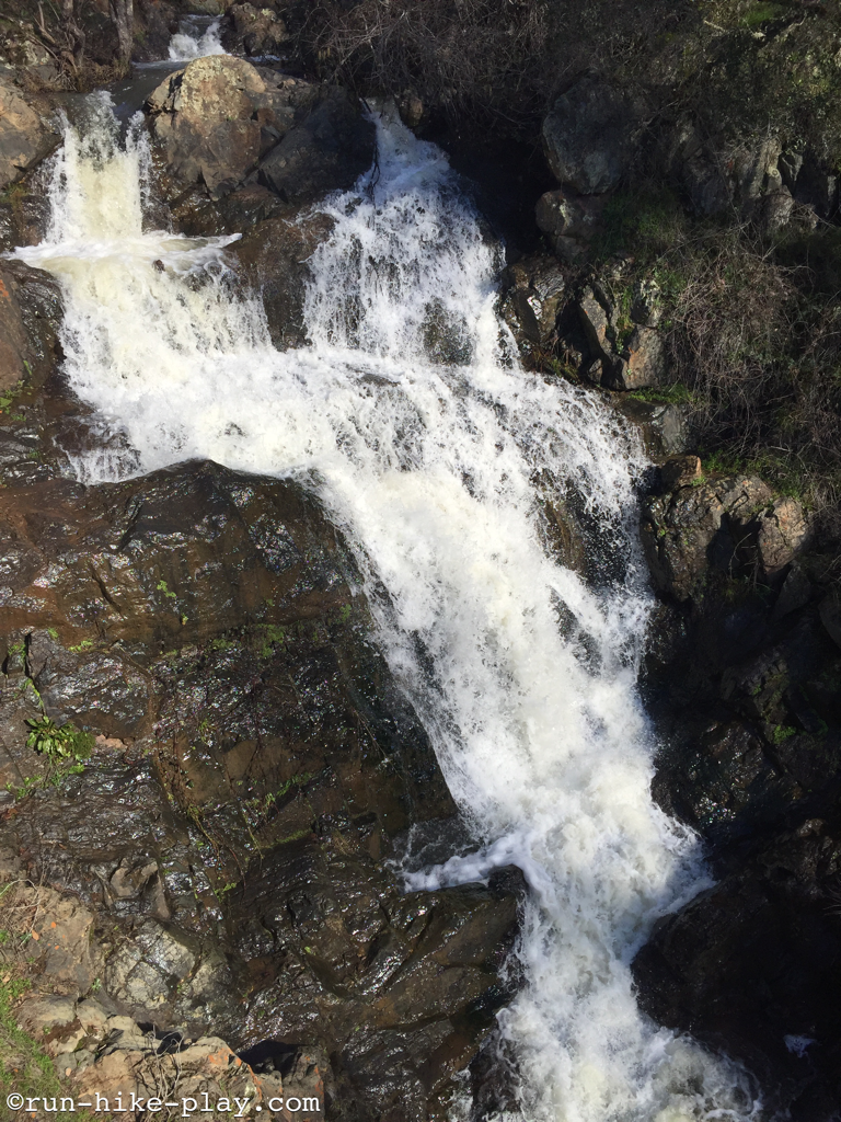 Run-Hike-Play: Hidden Falls Regional Park Hike with the Fam 1/31/16