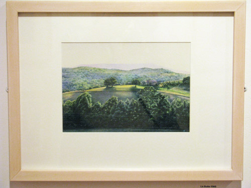 MAKING A MARK: Royal Watercolour Society Spring Exhibition 2012 - a review