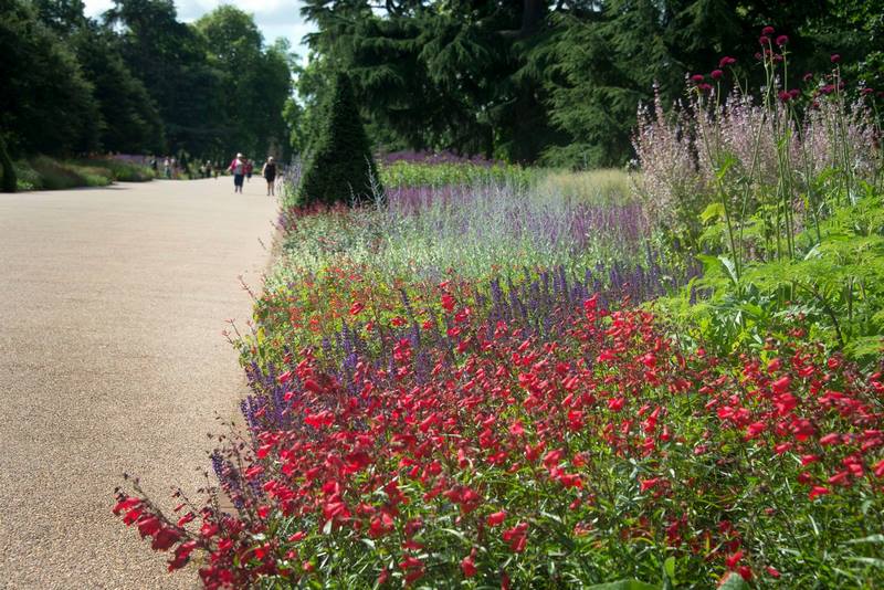 Great Broad Walk Borders en Kew Gardens: 20 minutos caminando entre ...