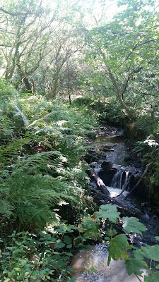 Gone for a walk....: Part 1, Welcombe Mouth to Morwenstow