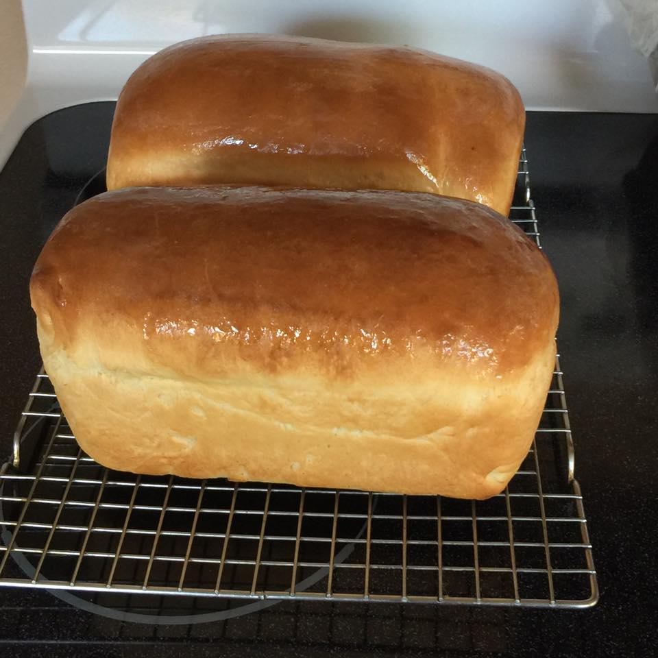 When life gives you lemons--Make lemonade and more!: The Best Homemade ...