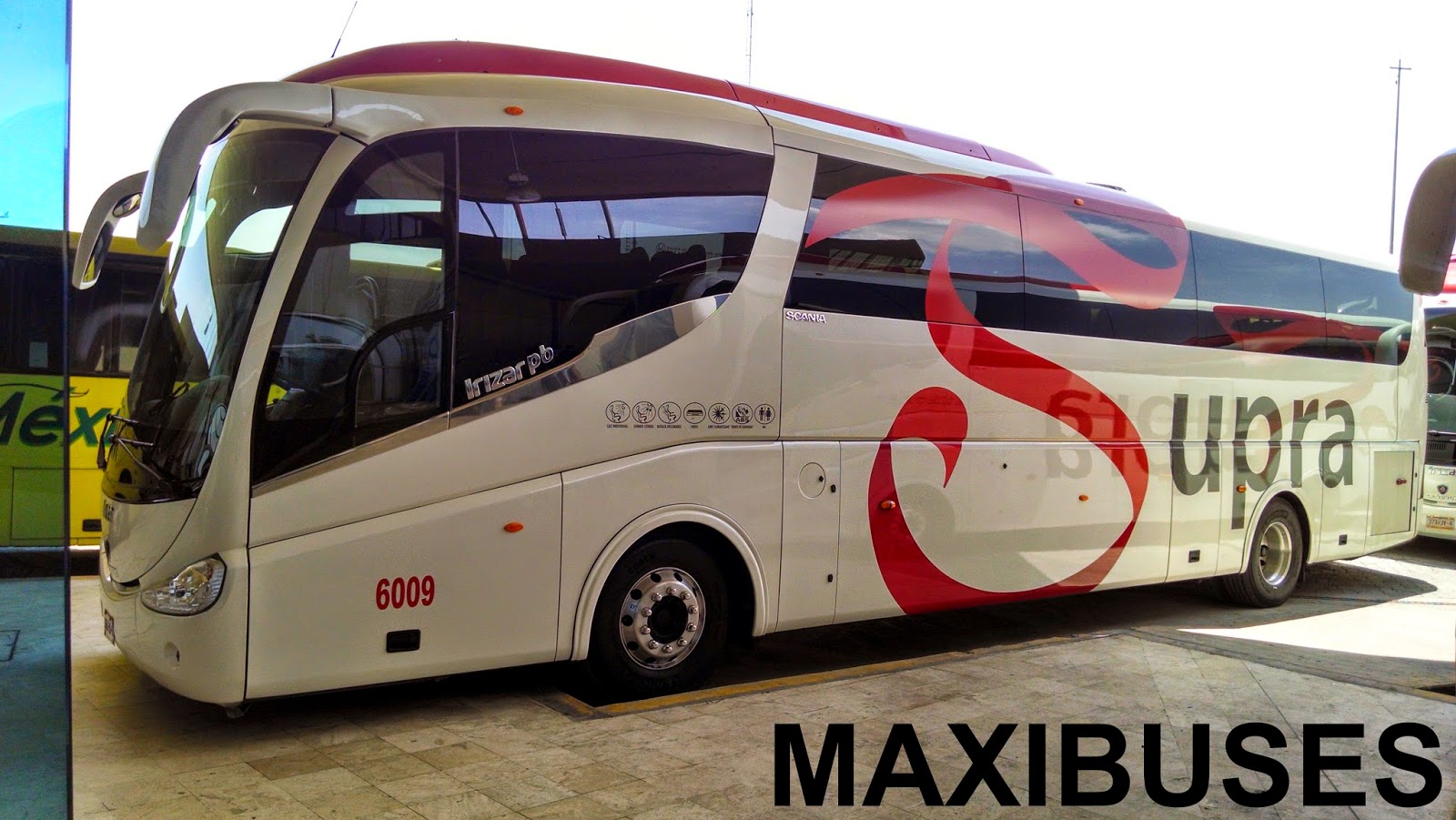 MAXIBUSES: SUPRA - NUEVA LÍNEA